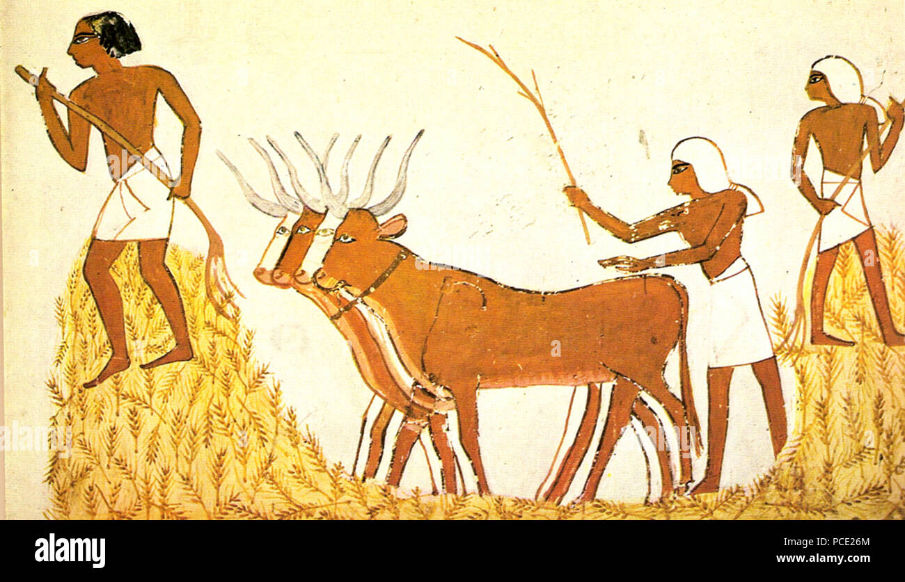 Egipto antiguo hi-res stock photography and images - Alamy