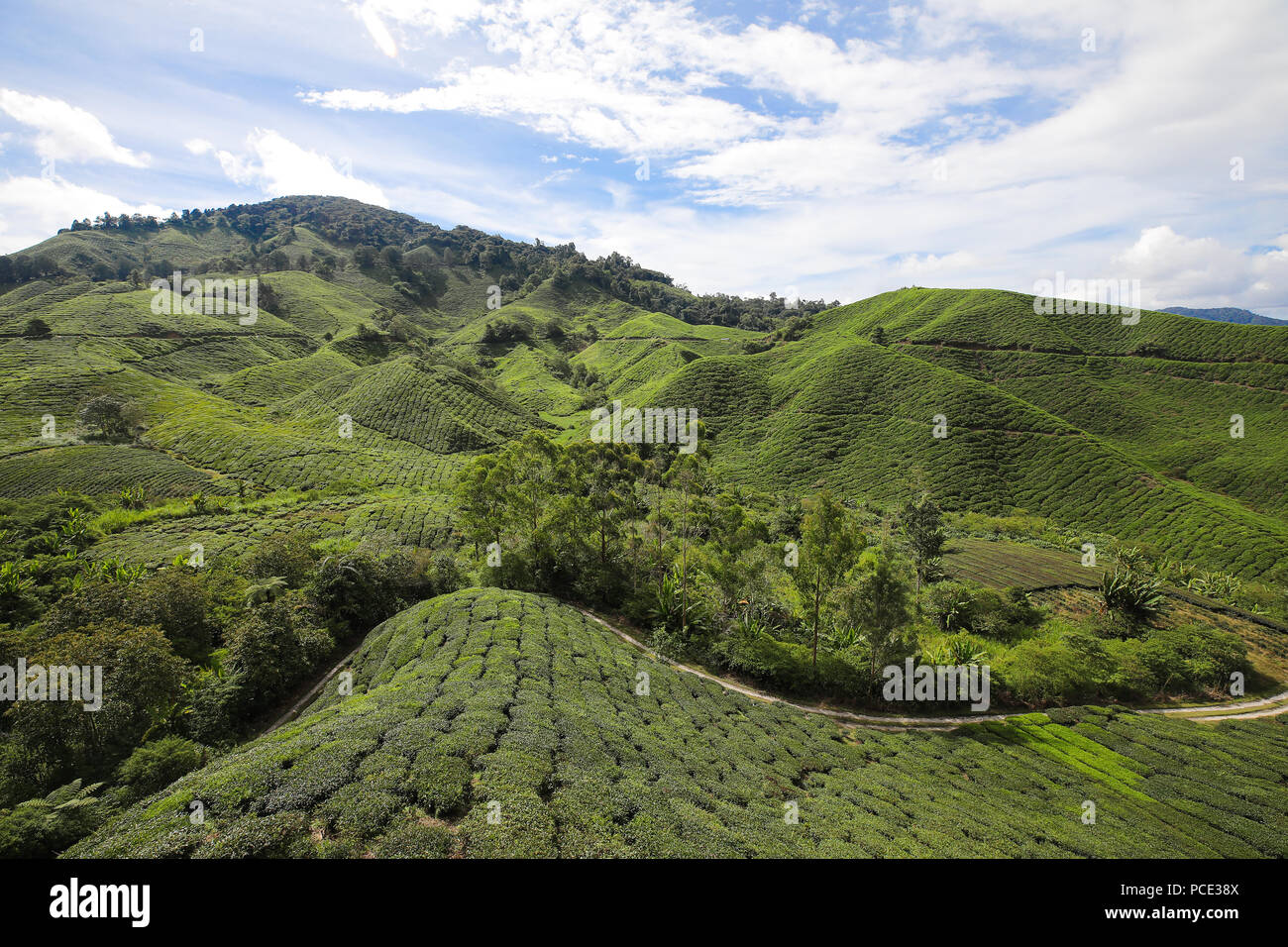 Cameron hills hi-res stock photography and images - Alamy