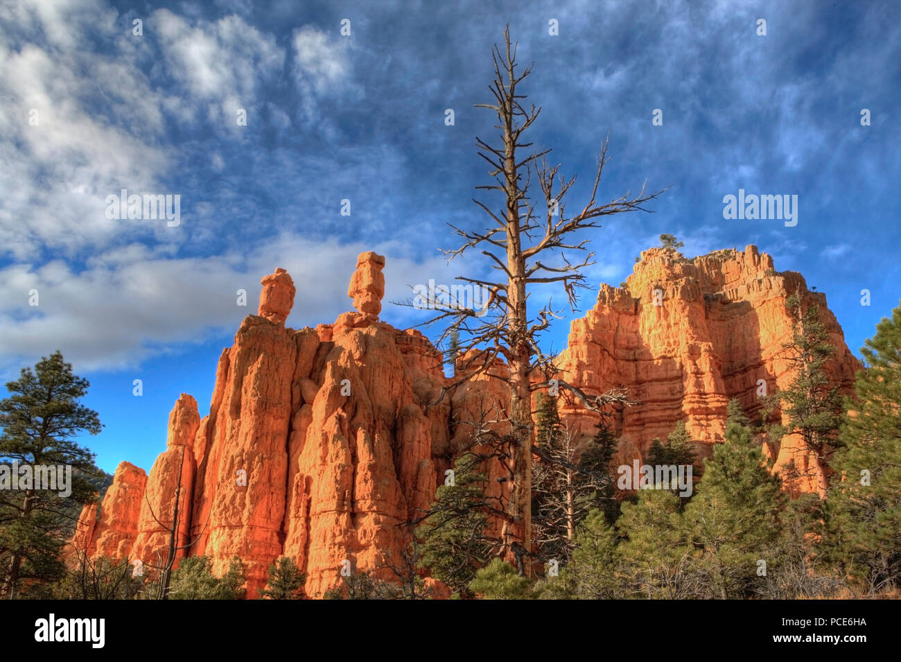 The Red Rock Canyon National Conservation Area, Utah Stock Photo - Alamy