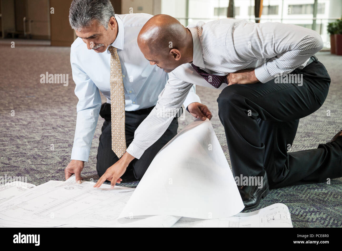 Two men going over plans for a new office space while kneeling on an ...