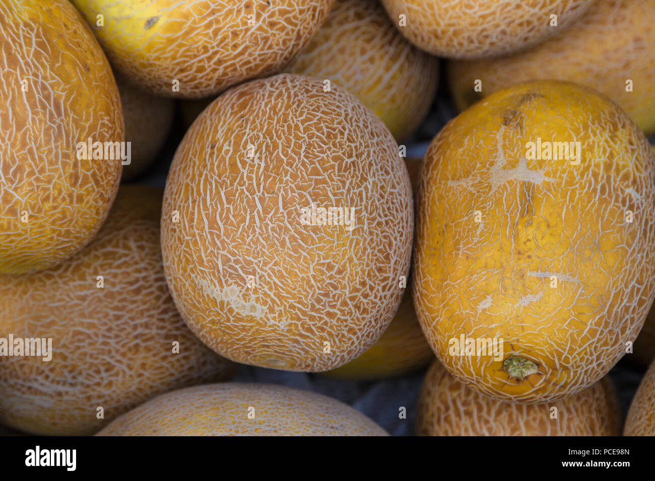 Fresh juicy melons lying on a counter in the grocery store Stock Photo ...