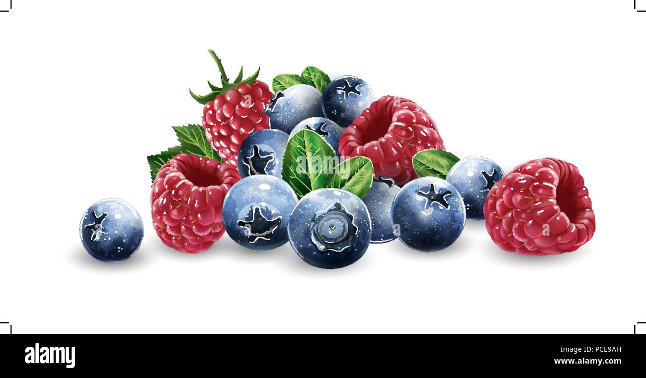 Raspberries strawberries Stock Vector Images - Alamy