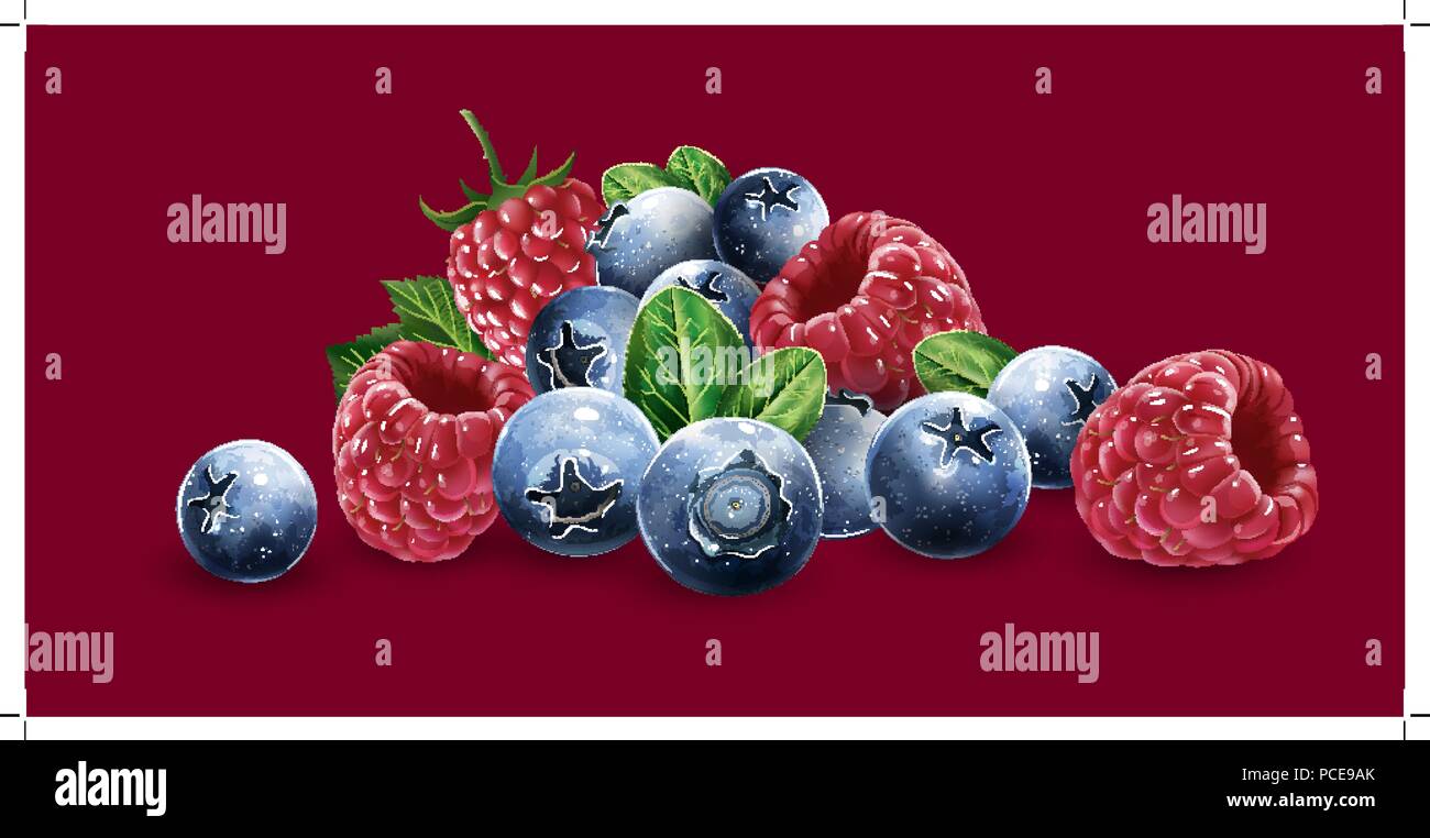 Raspberries, blueberries and strawberries Stock Vector Image & Art - Alamy