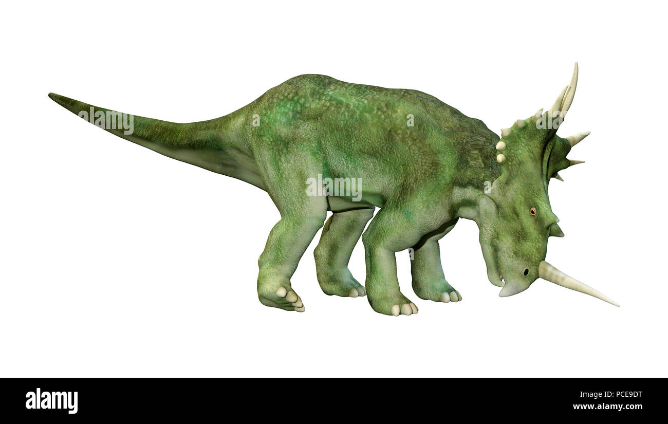 3D rendering of a dinosaur Styracosaurus or spiked lizard, a genus of ...