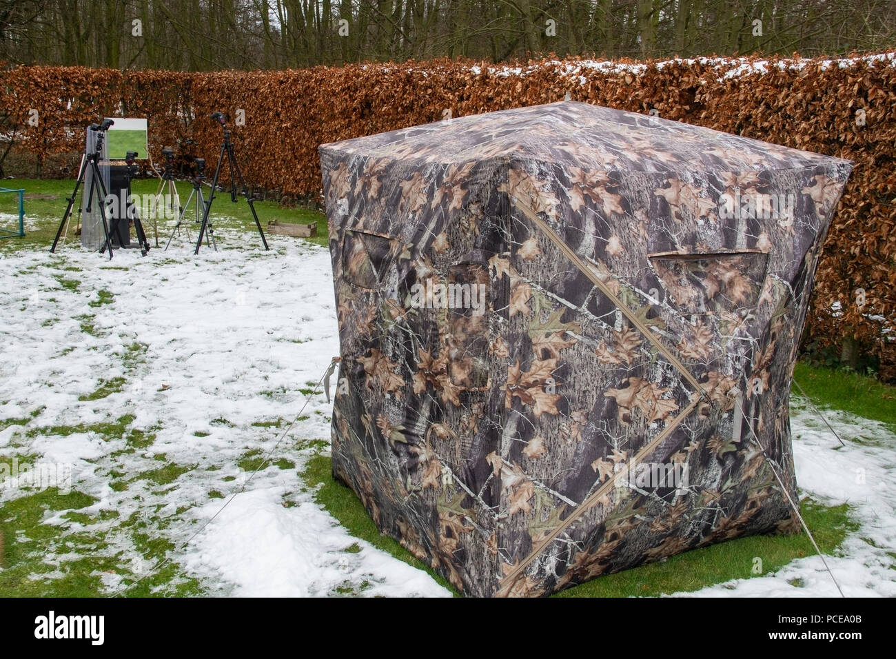 Bird Blind High Resolution Stock Photography and Images - Alamy