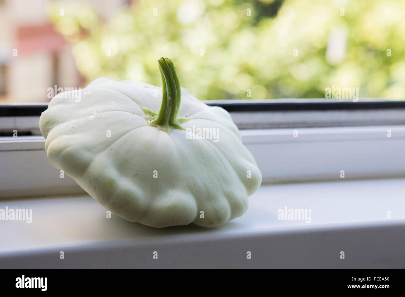 Vegetables (zucchini and patisson) on the board Stock Photo - Alamy