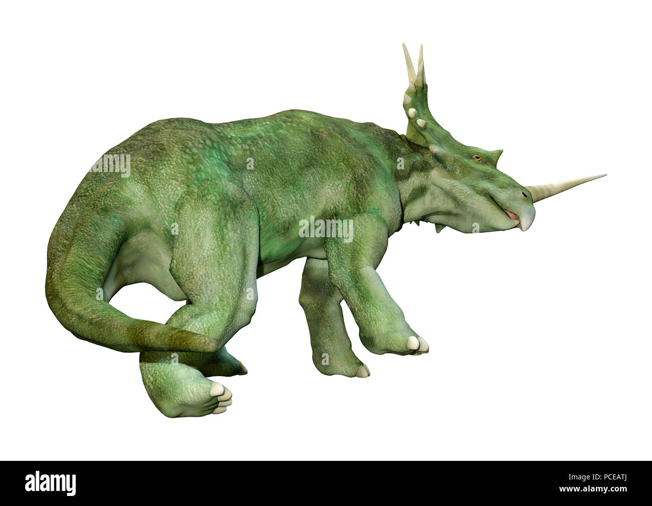 3D rendering of a dinosaur Styracosaurus or spiked lizard, a genus of ...