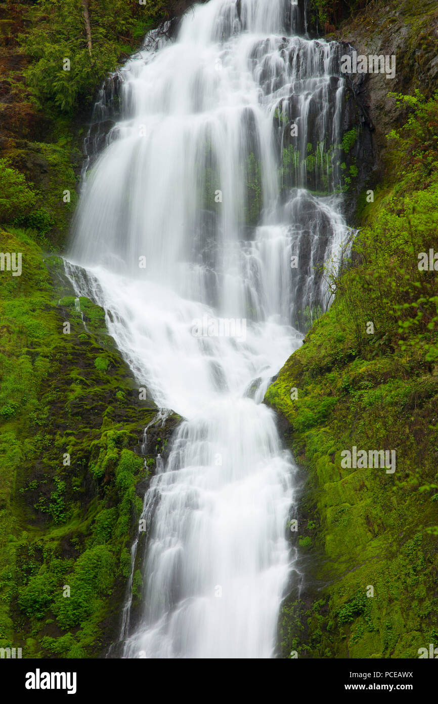 Munson creek falls hi-res stock photography and images - Alamy