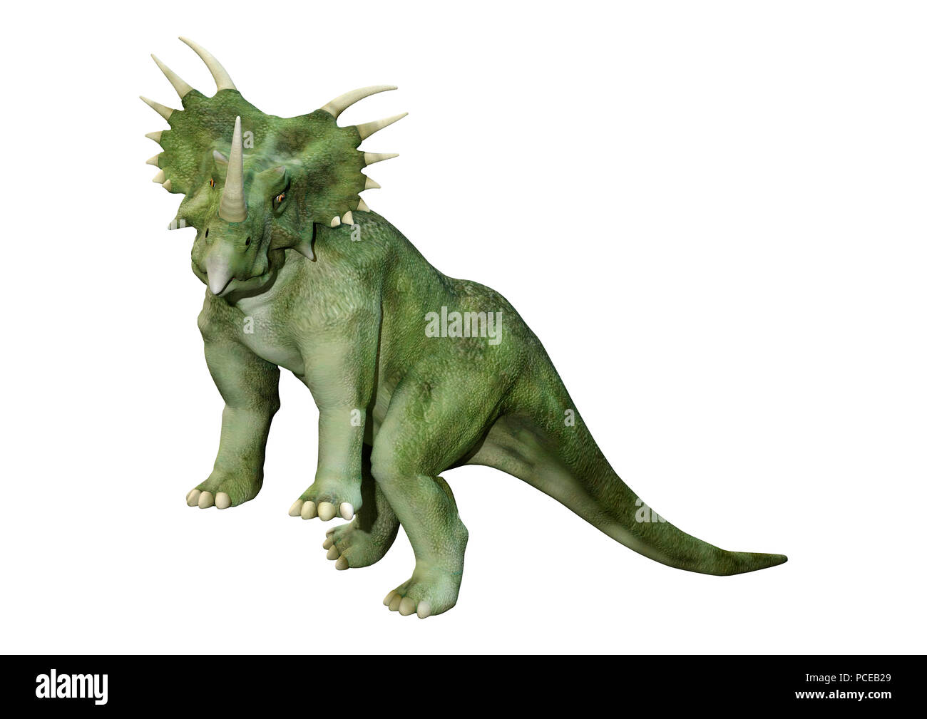 3D rendering of a dinosaur Styracosaurus or spiked lizard, a genus of ...
