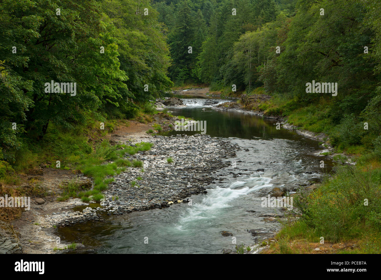 Tillamook state forest wilson river hi-res stock photography and images ...