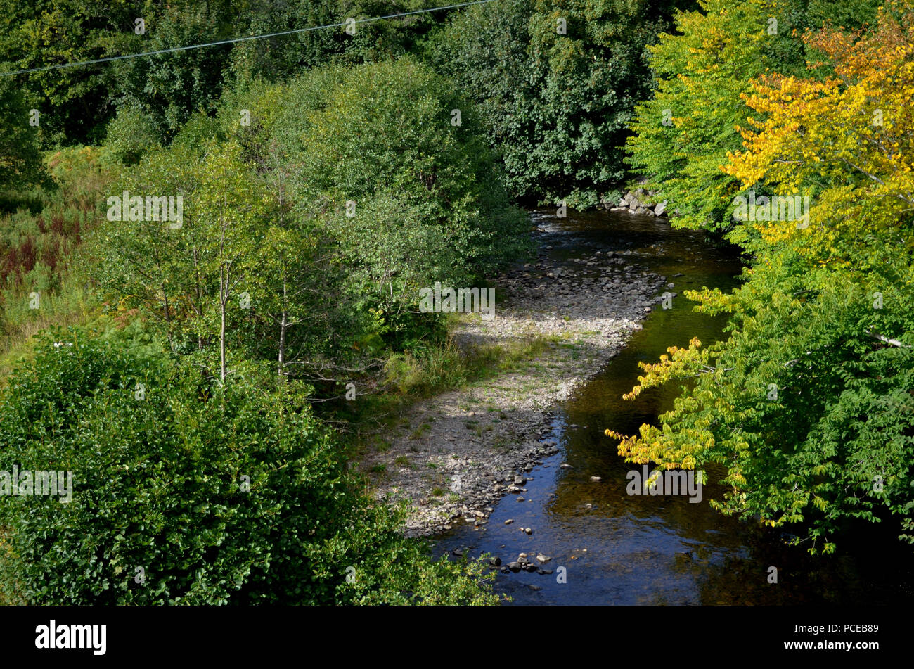 Thick trees following the river in the Scottish Highlands Stock Photo ...