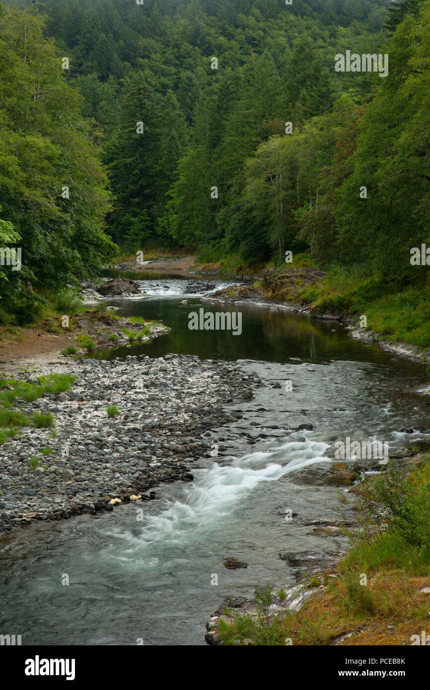 Tillamook state forest wilson river hi-res stock photography and images ...