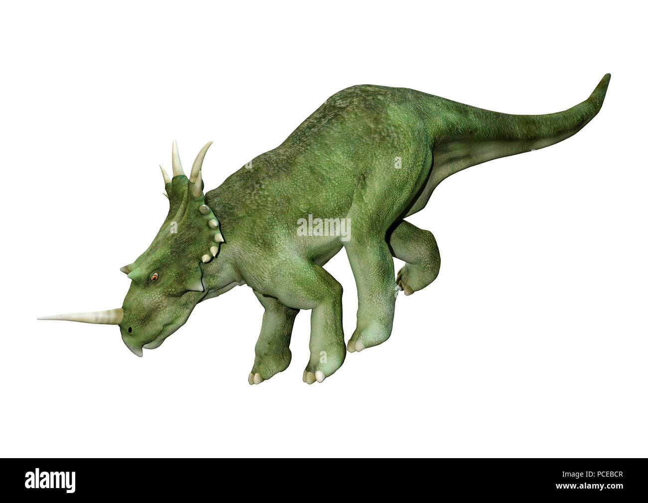 3D rendering of a dinosaur Styracosaurus or spiked lizard, a genus of ...