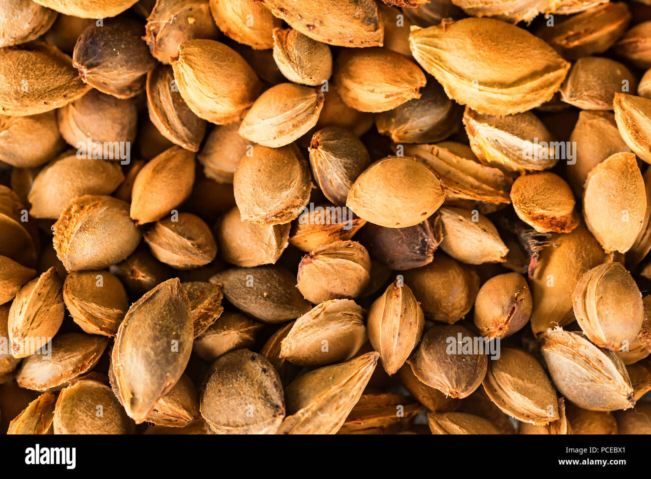 Apricot shell hi-res stock photography and images - Alamy