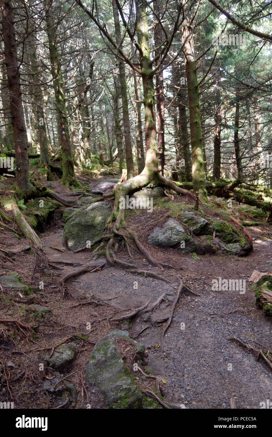 Elevation ecosystem hi-res stock photography and images - Alamy