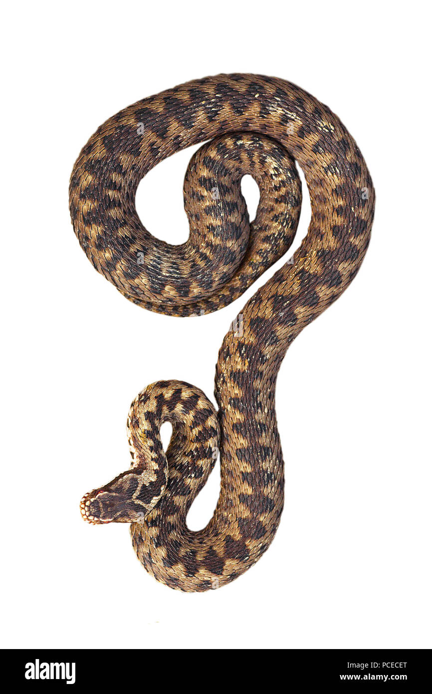 Full adder background hi-res stock photography and images - Alamy