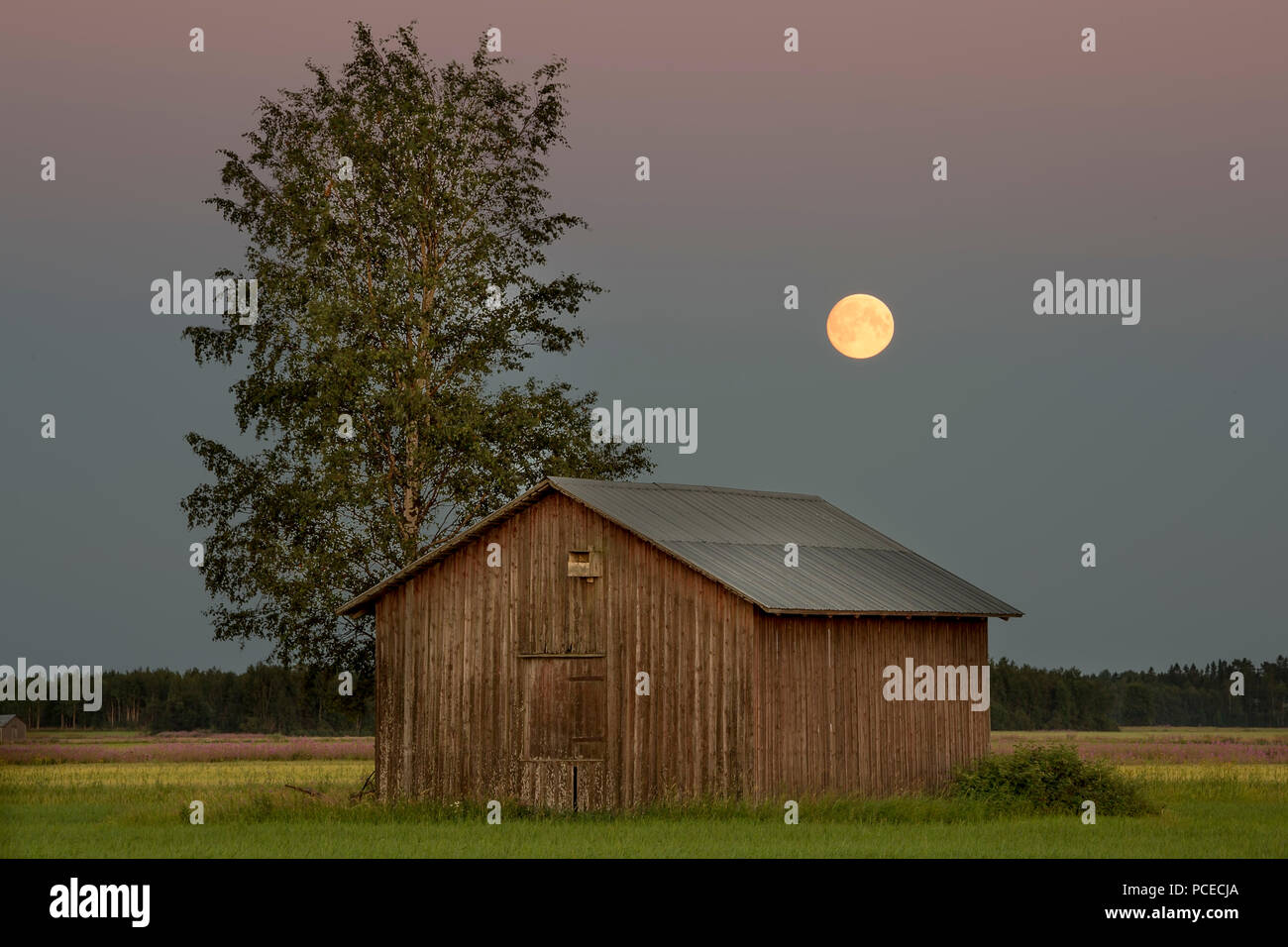 Farmfield hi-res stock photography and images - Alamy