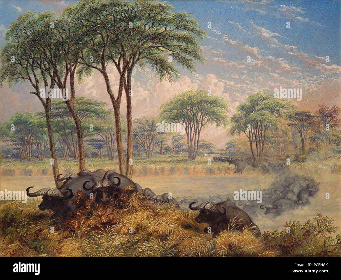 Baines hi-res stock photography and images - Alamy