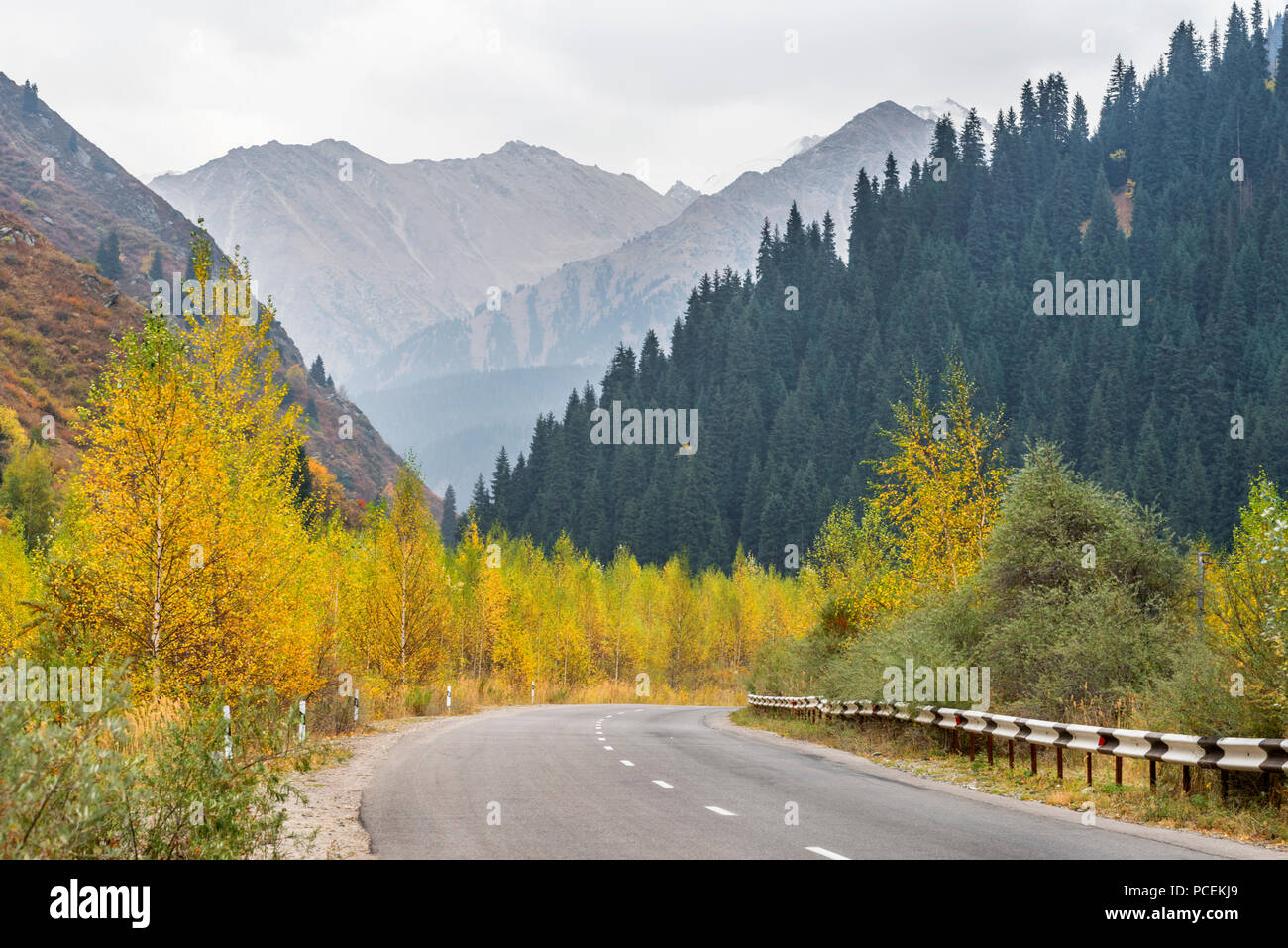 Golden autumn in Zailiyskiy Alatau, Kazakhstan Stock Photo - Alamy