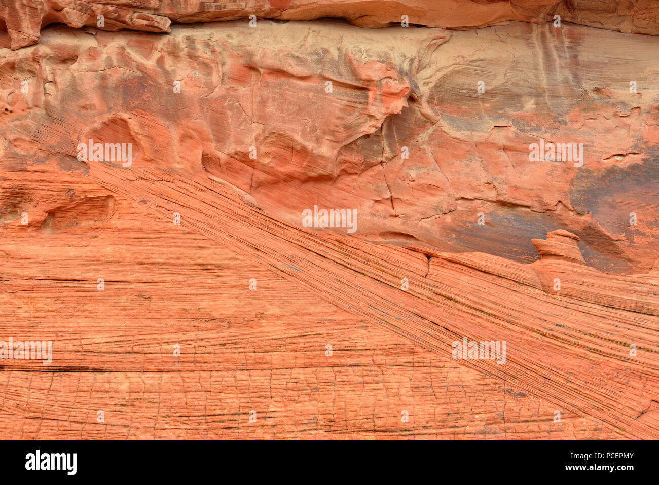 Weathered red rock formations in the desert, Valley of Fire State Park ...