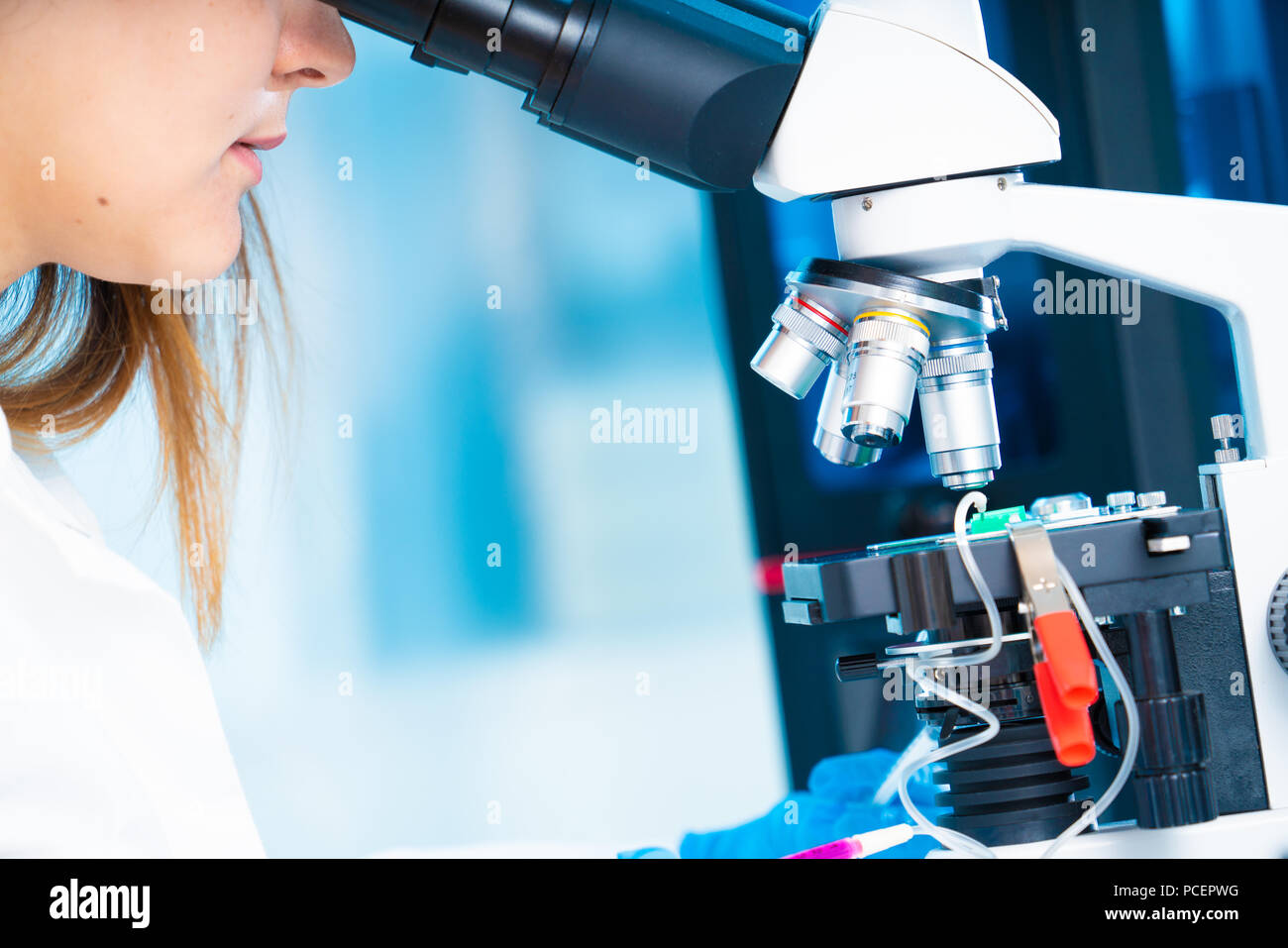 technician girl with microfluidic device LOC in microbiological lab ...