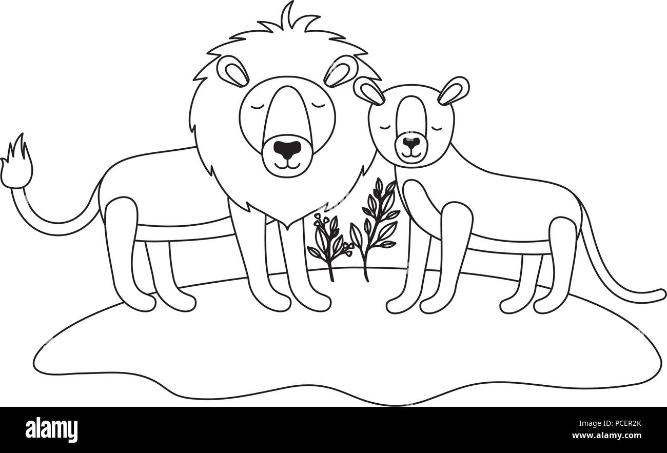 African lions in wild Stock Vector Images - Alamy