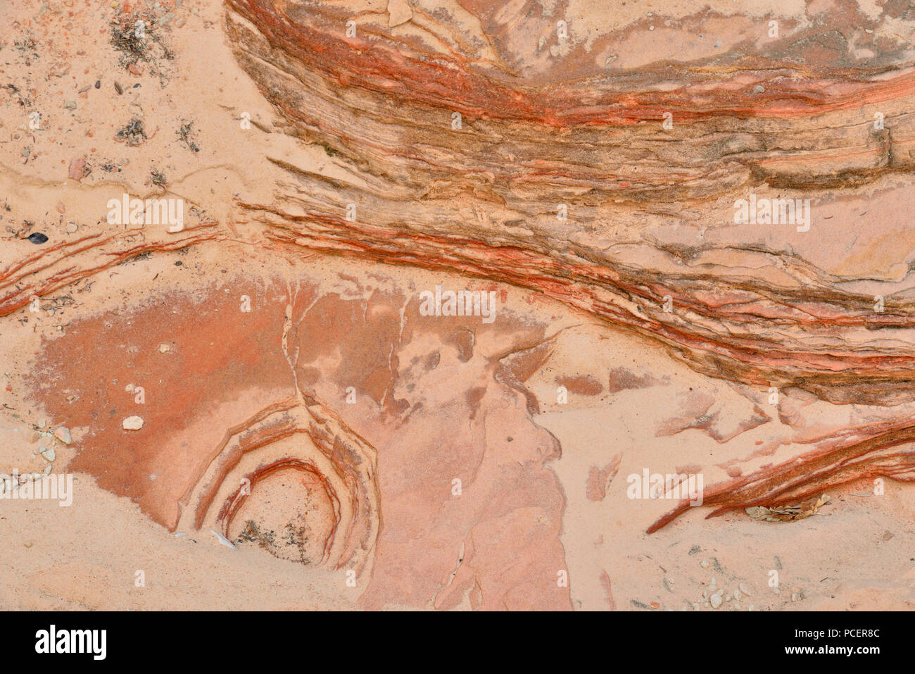 Slickrock formations- beehive formations, Zion National Park, Utah, USA ...