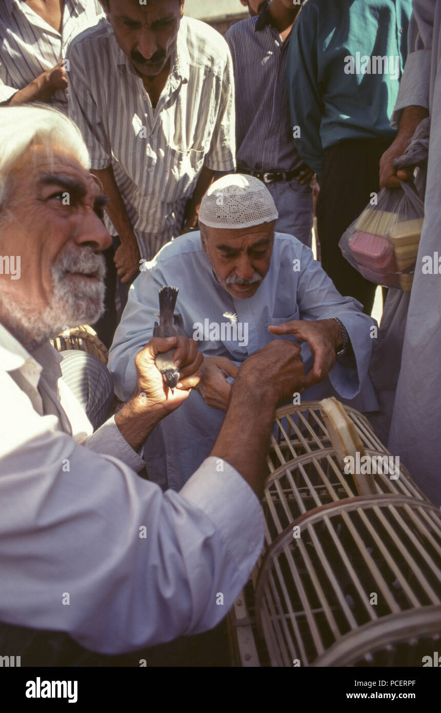 Iraq invasion kuwait 1990 hi-res stock photography and images - Alamy