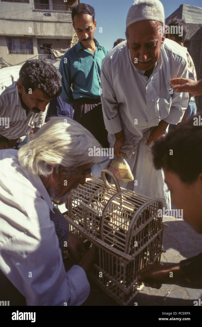 Kuwait 1995 hi-res stock photography and images - Alamy