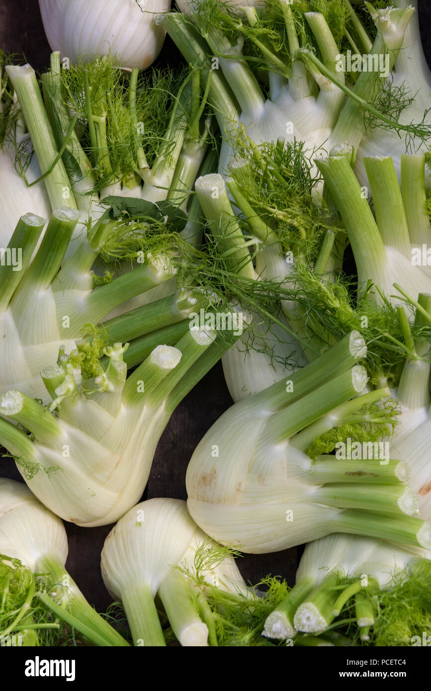 Fennel roots hi-res stock photography and images - Alamy