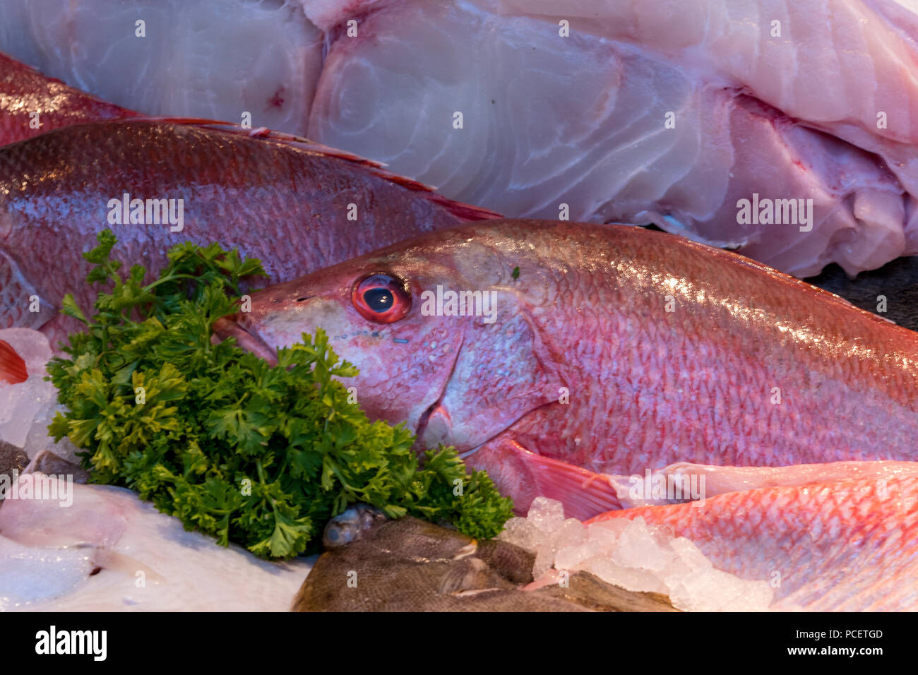 fresh red snapper fish on sale on a fishmongers market stall Stock ...