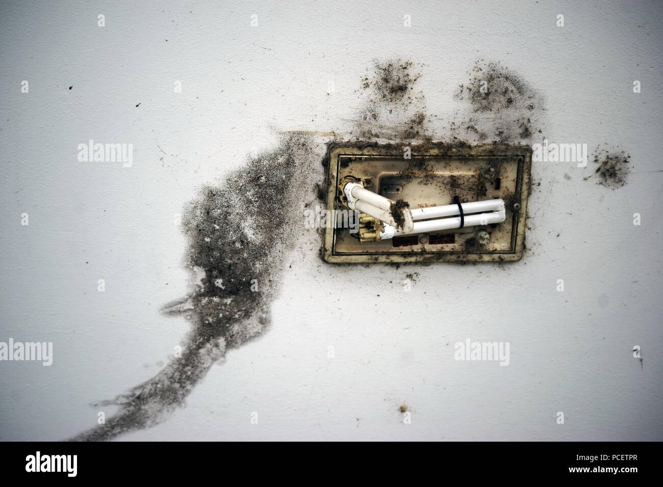 The close-up of a moldy and dirty ceiling with a broken ceiling light ...