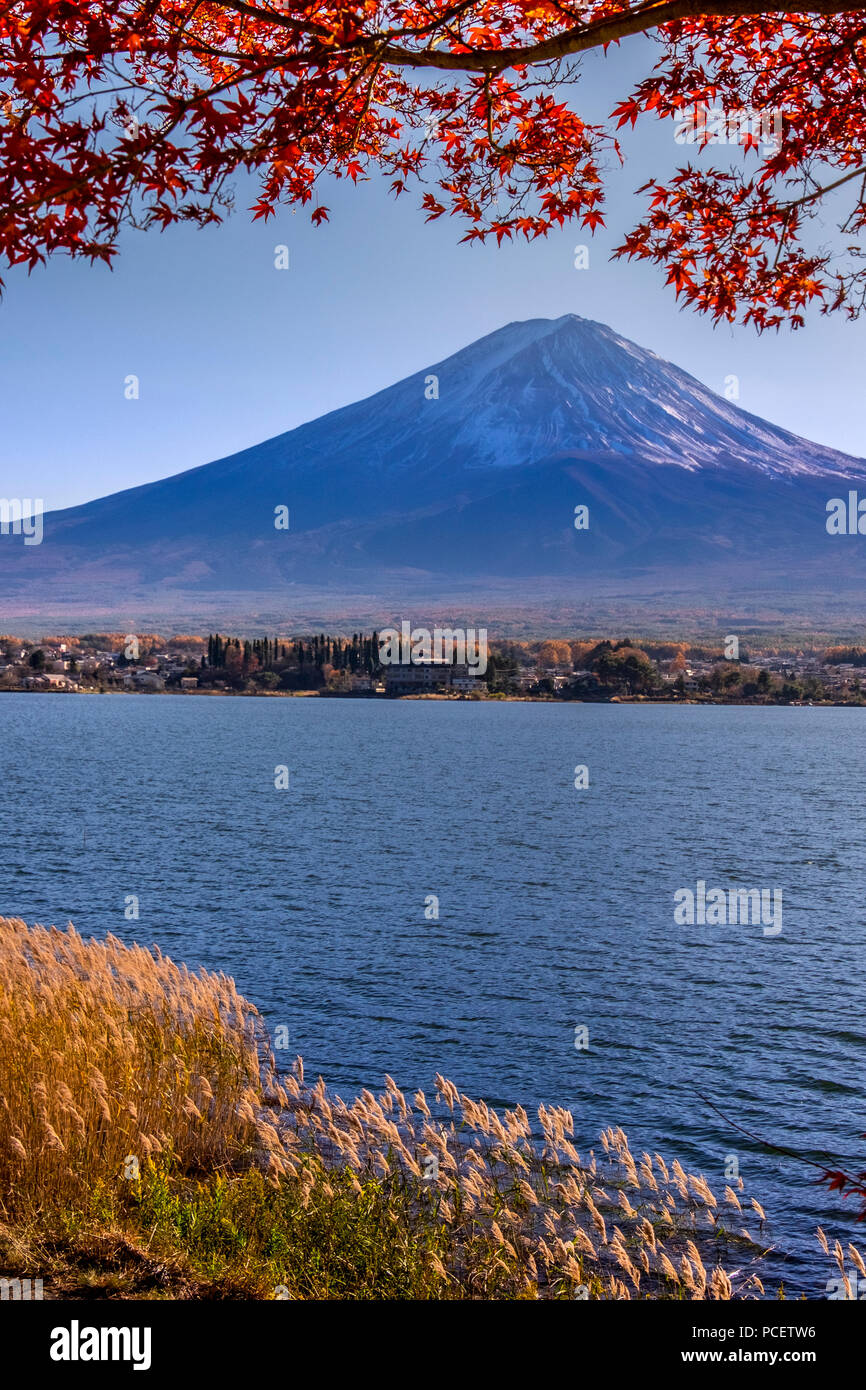 Snow-capped Mount Fuji (Fujisan, 富士山) with autumn foliage from Lake ...