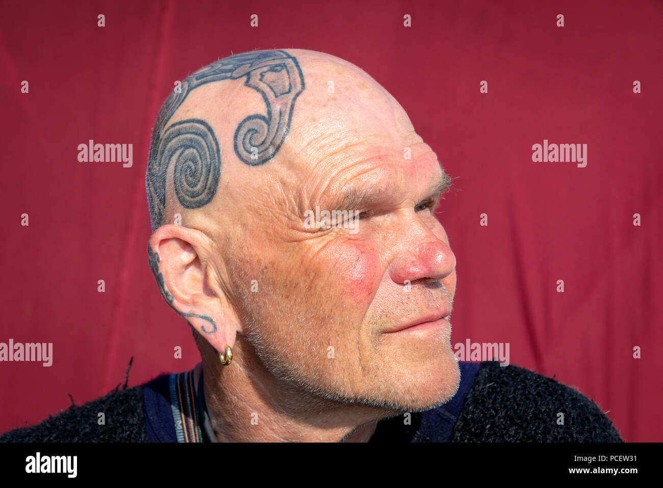 Man with viking tattoos, Moesgaard, Aarhus, Denmark Stock Photo - Alamy