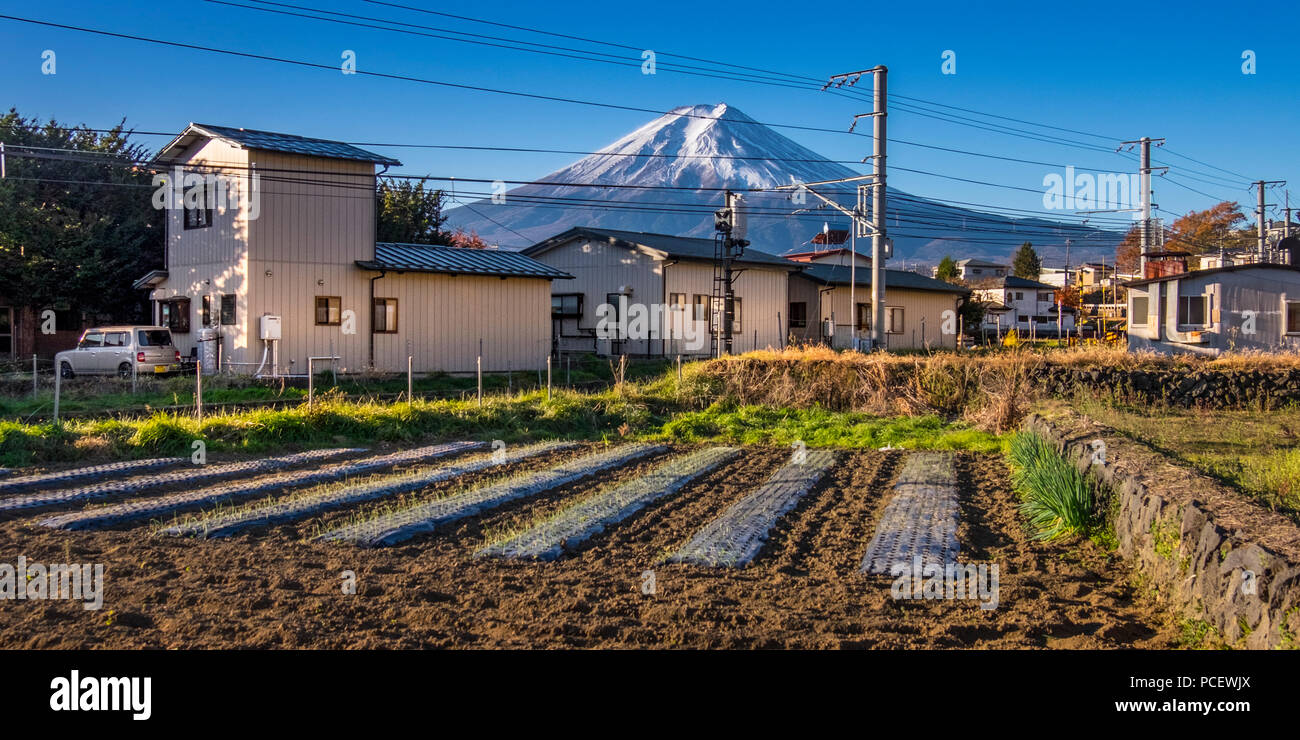Snow-capped Mount Fuji (Fujisan, 富士山) with autumn foliage from Lake ...
