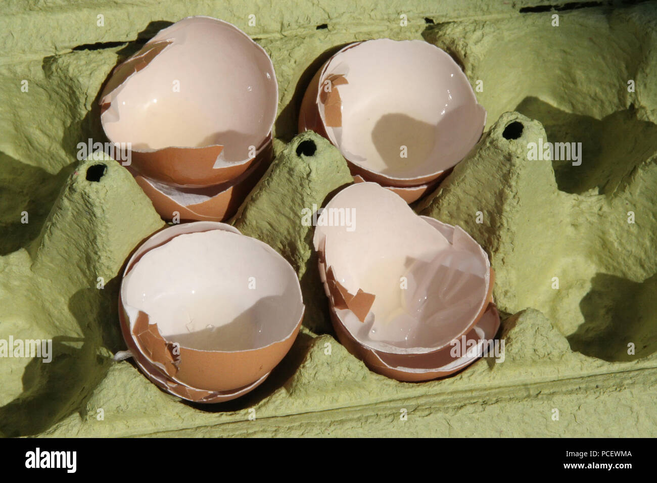 Cracked egg hatch hi-res stock photography and images - Alamy