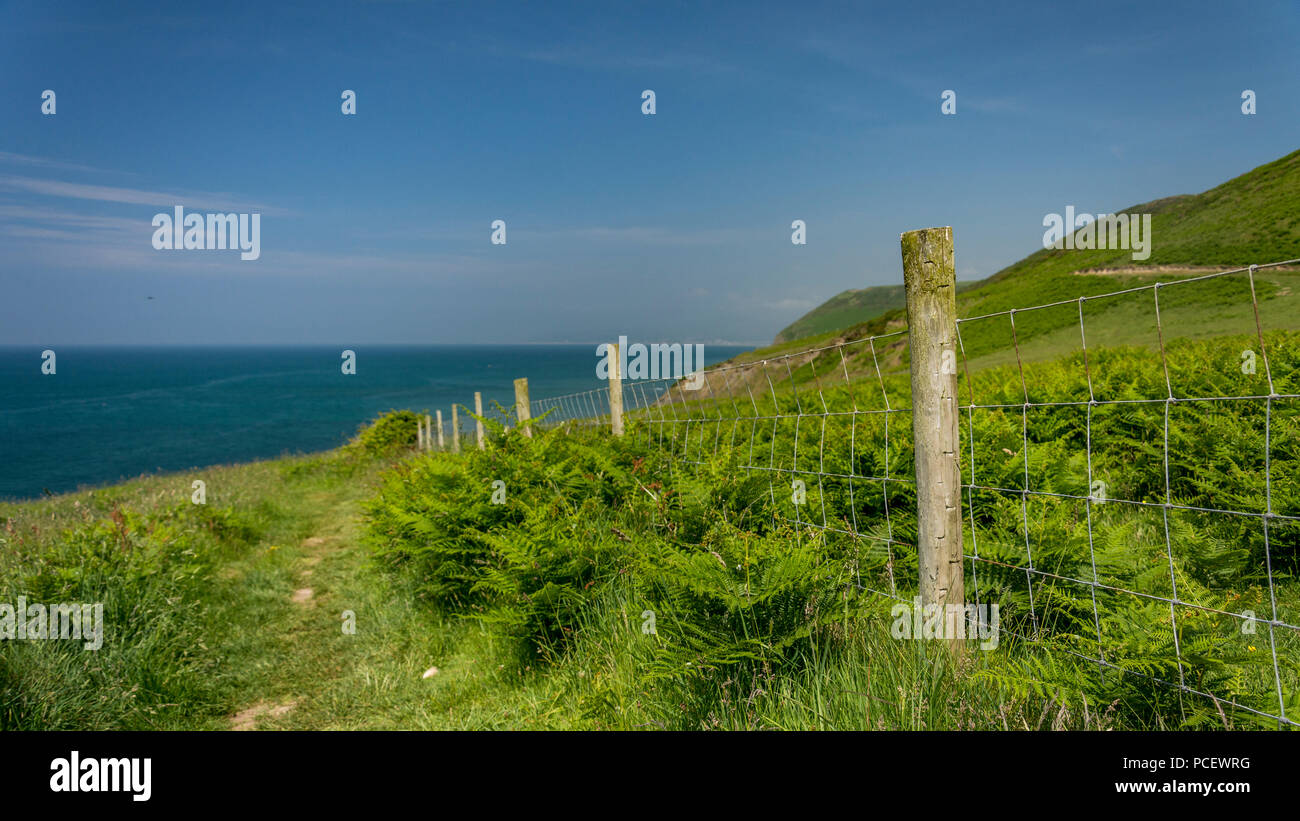 Sea edge plant hi-res stock photography and images - Alamy