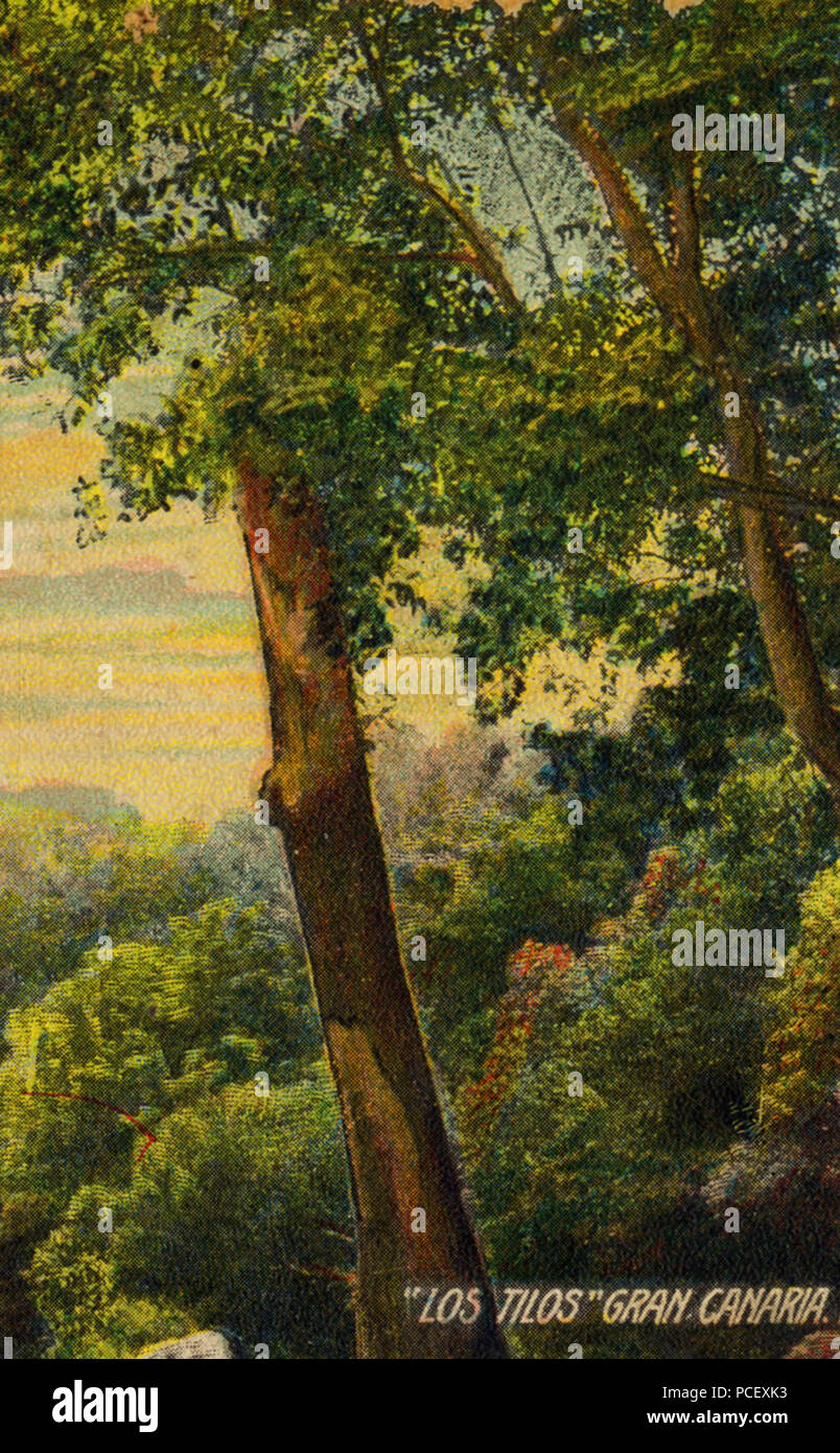 Los tilos park hi-res stock photography and images - Alamy