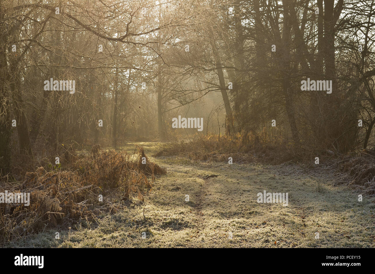 Bromfield hi-res stock photography and images - Alamy