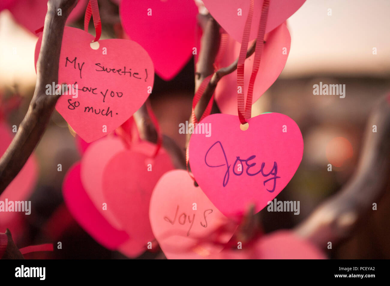 A tribute tree of local AIDS victim's names forms the centerpiece of an ...