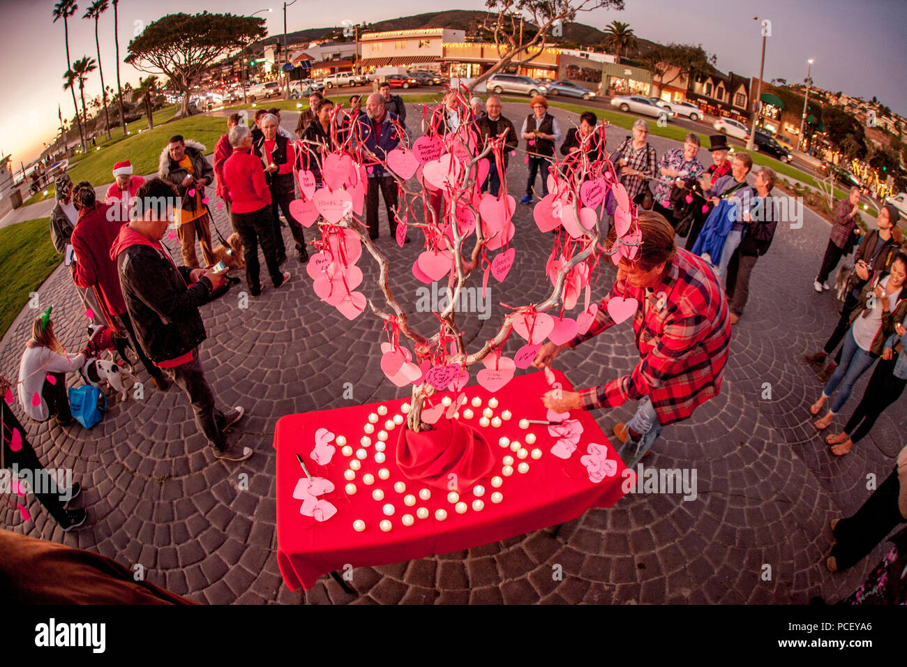A tribute tree of local AIDS victim's names forms the centerpiece of an ...