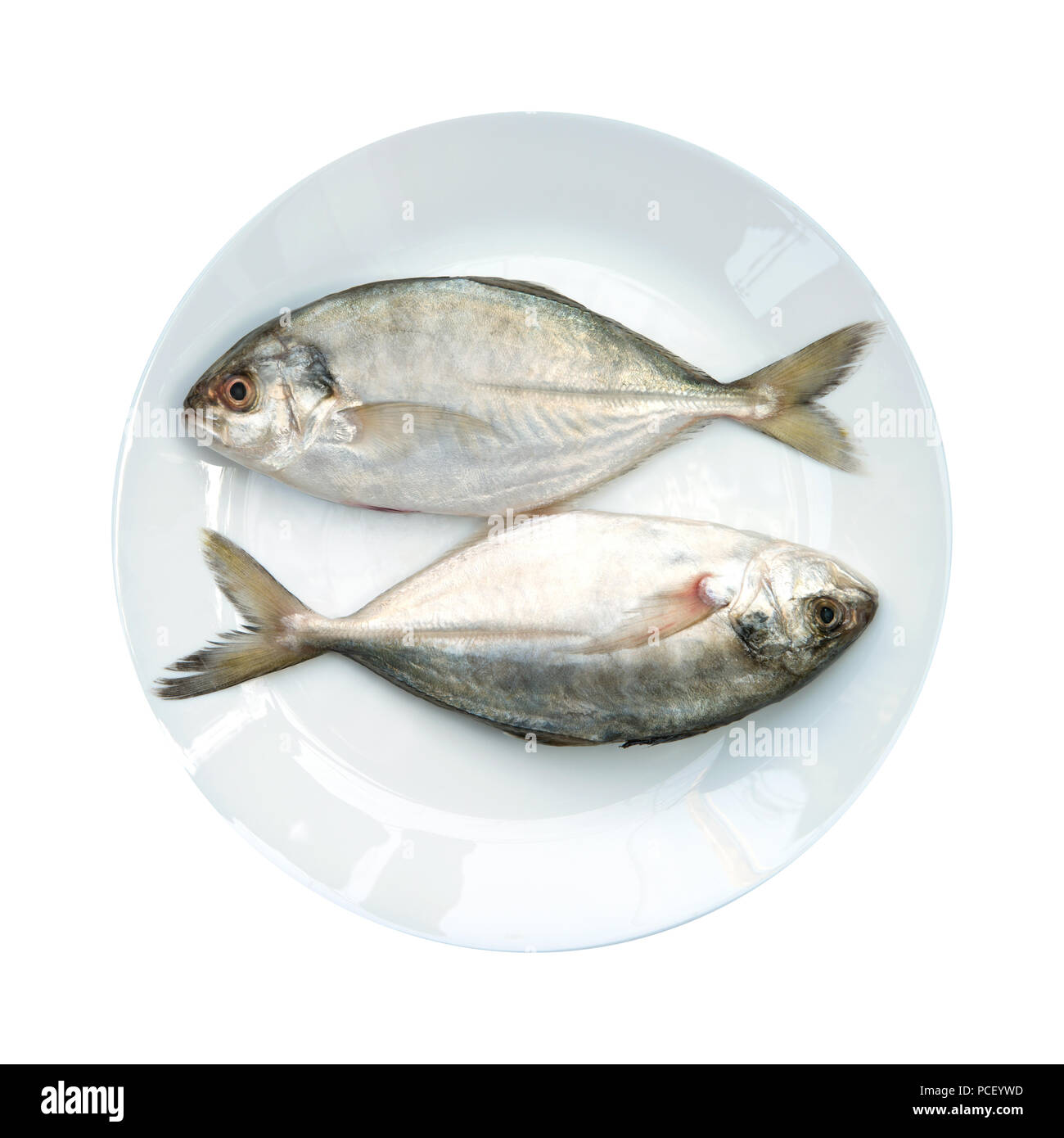 Trevally scad Cut Out Stock Images & Pictures - Alamy
