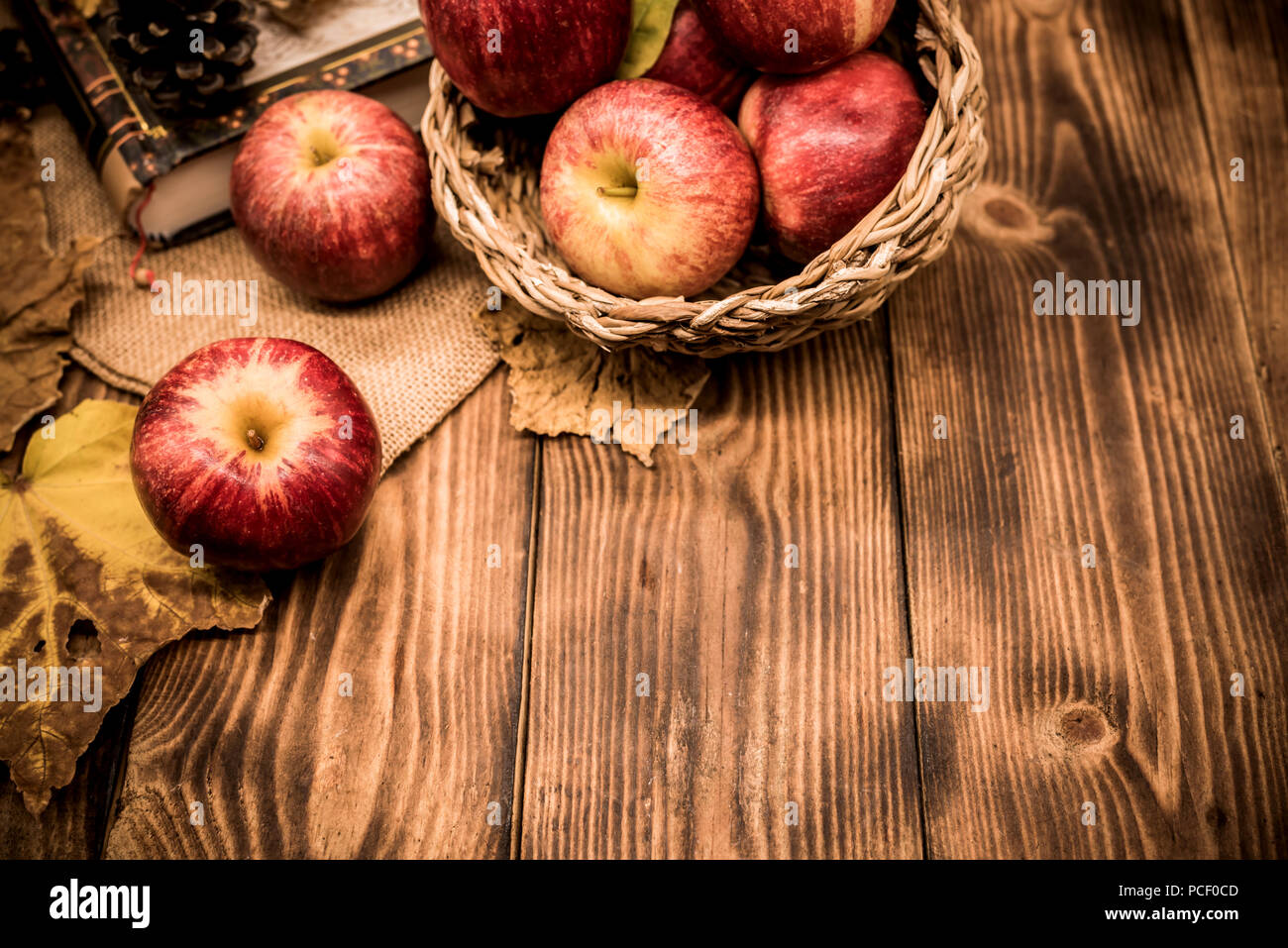 Fall harvest cornucopia. Basket with red apples in the garden. Copy ...