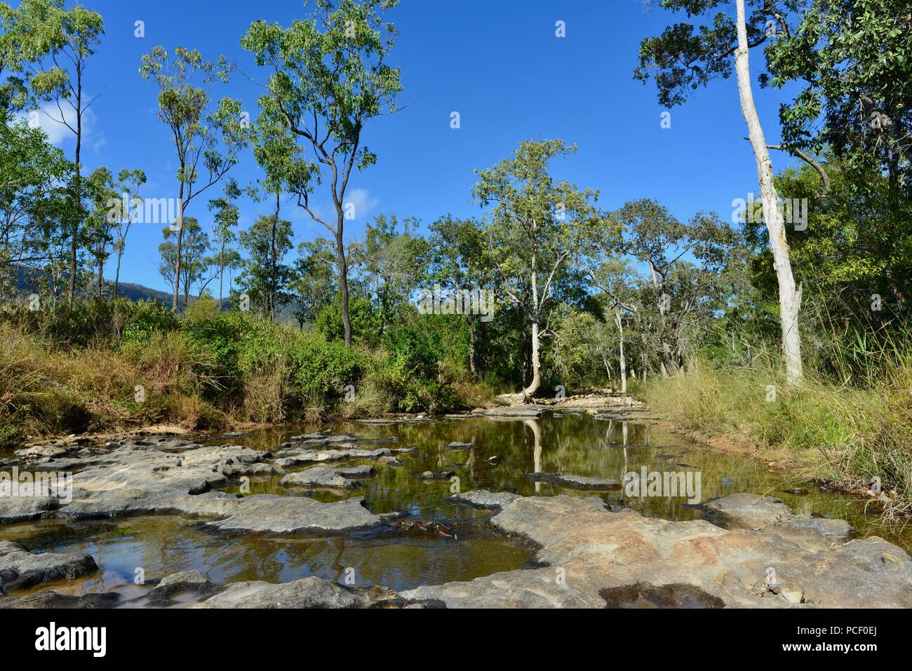 Australian Flora Stock Photos & Australian Flora Stock Images - Alamy