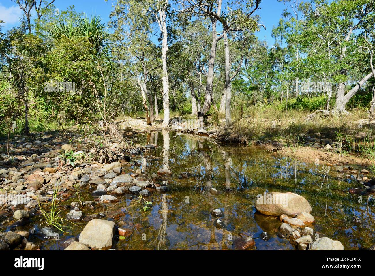 Australian Bush High Resolution Stock Photography and Images - Alamy