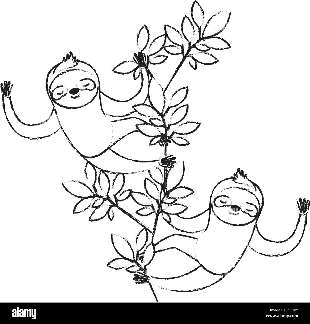 wild sloths couple in the jungle Stock Vector Image & Art - Alamy