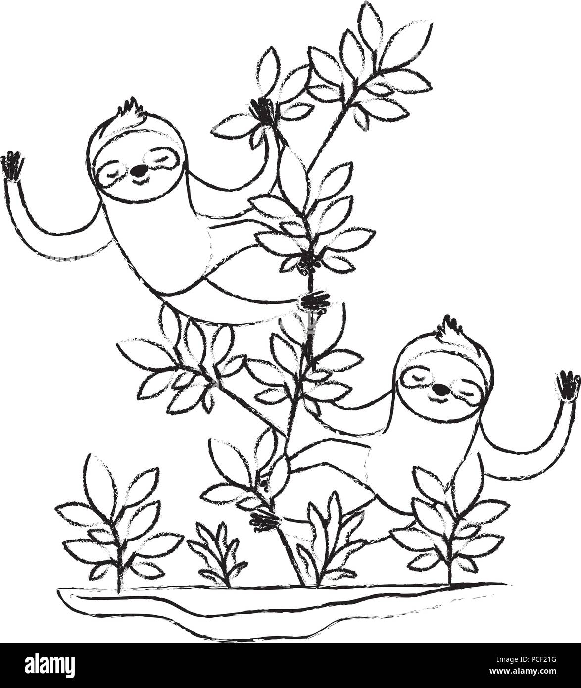 Sloth in jungle Black and White Stock Photos & Images - Alamy