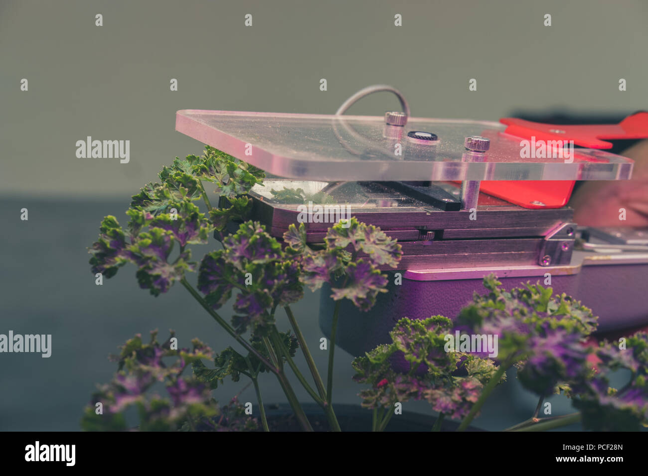 carbon dioxide measuring device for measuring photosynthesis of plant ...