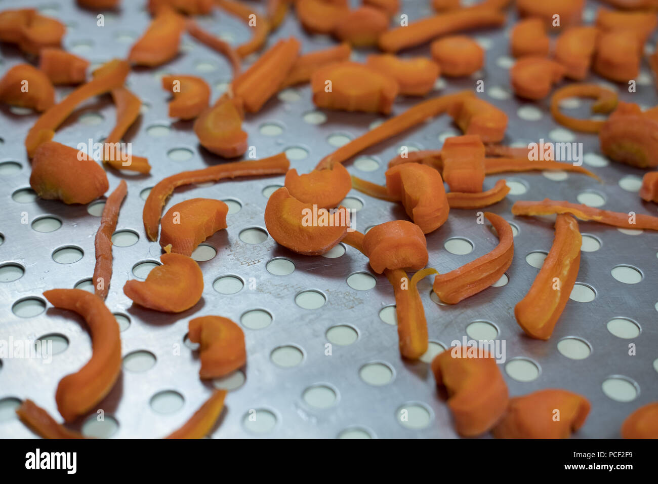 tropical fruit drying in hot air oven. dried carrot on stainless tray ...