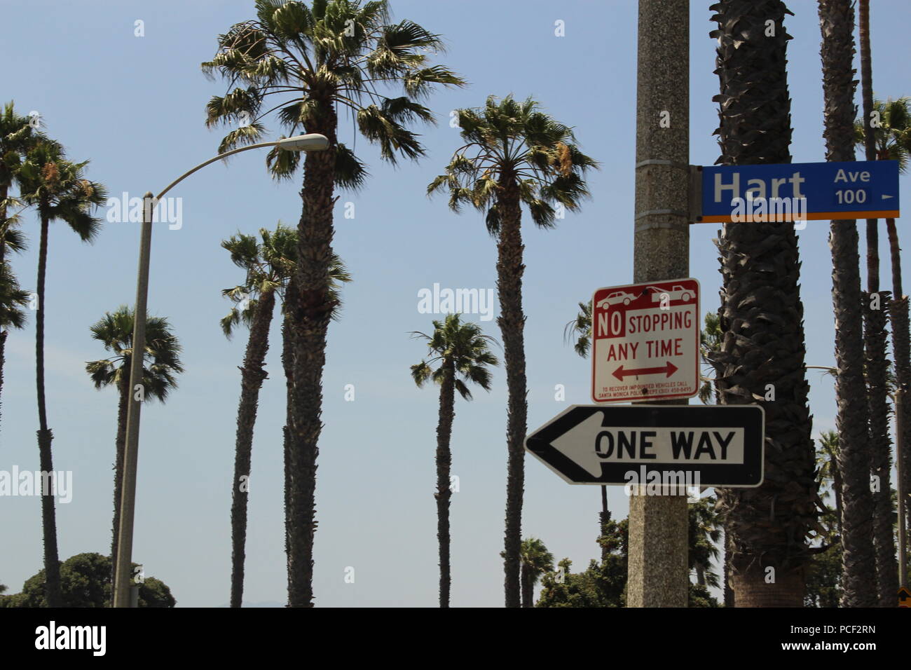 Venice beach street sign in front of palm trees Stock Photo - Alamy